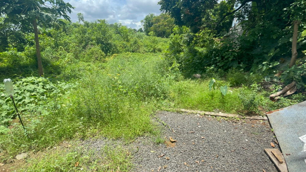 Residential Land at Royal Road Lallmatie